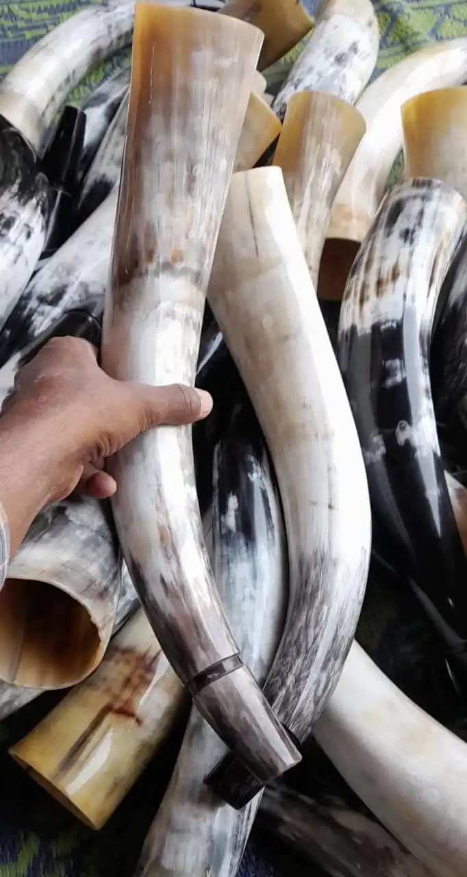 Custom Made Beautiful Blowing Horns from Real Buffalo Horns