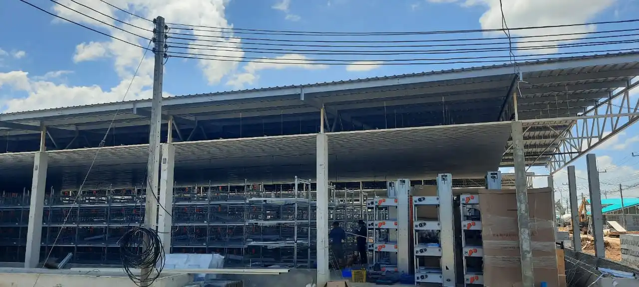 Steel Structure Space Frame Construction Poultry Farm Chicken House ...