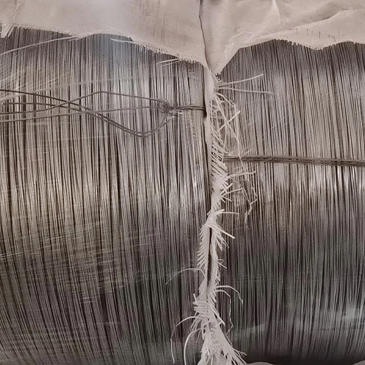 Electro Galvanized Iron Binding Wire Mesh Roll Available At Low Price