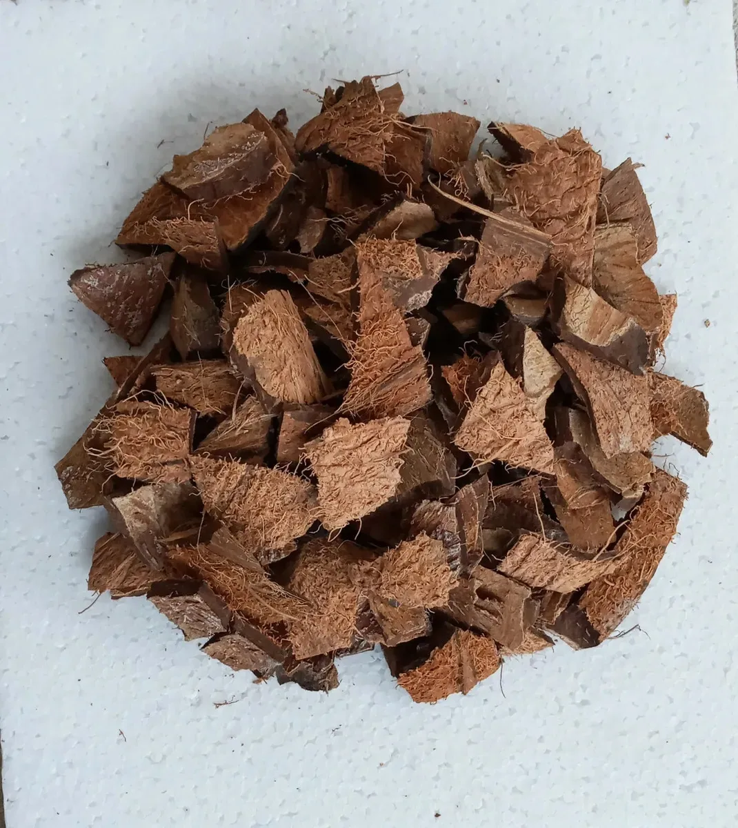 Raw Coconut Shell Chip Broken, Crushed Coconut Shell Making BBQ ...