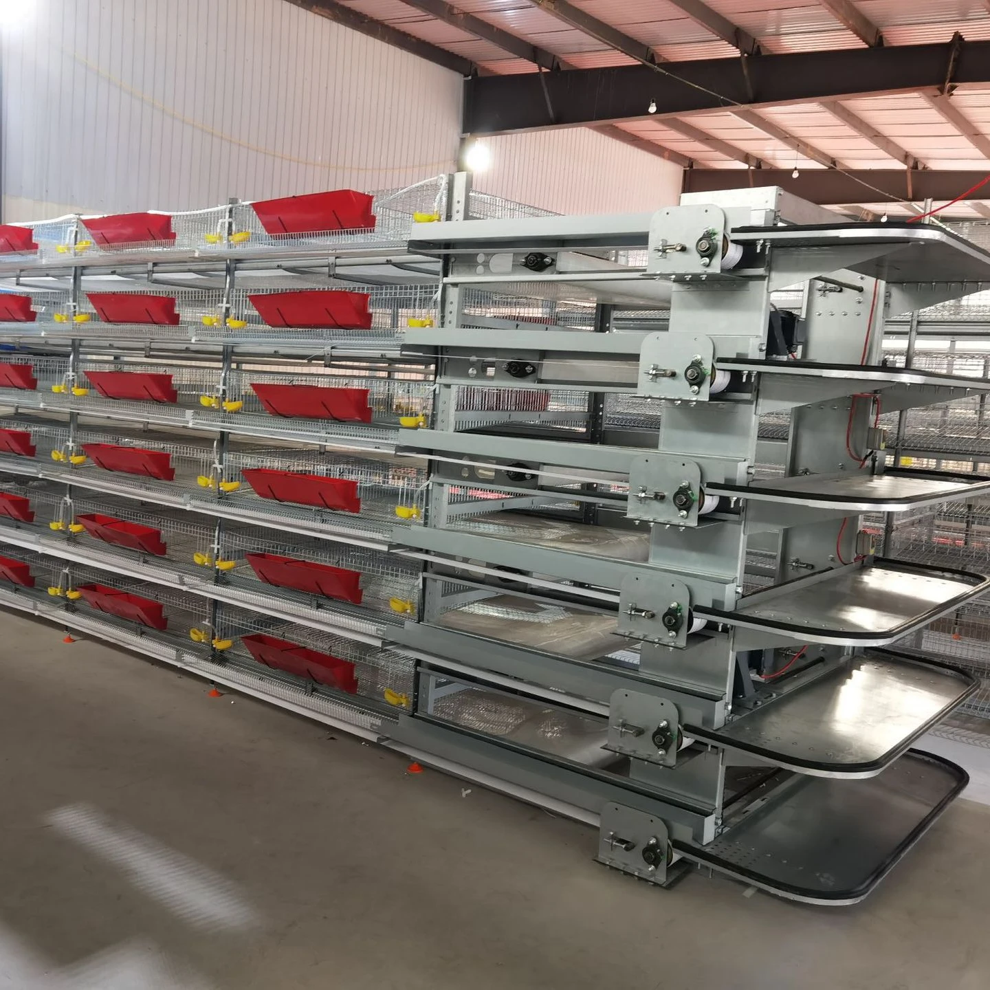 Fully Automatic Quail Cage with Egg Collector, Manure Cleaning, and ...