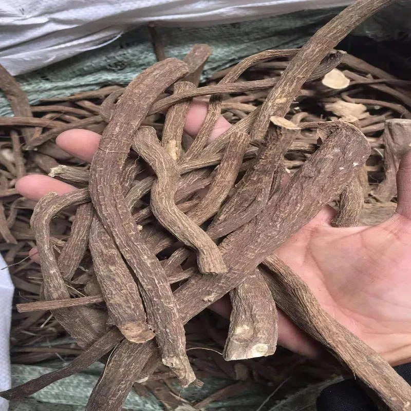 Herbs Used As An Anti-inflammatory Anti-microbial Agent Radix Inulae ...