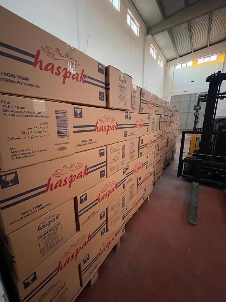 250 Pcs Facial Tissue Best Quality Soft Tissue Beauty Personal Care ...