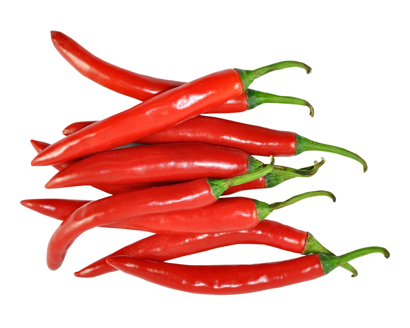 Wholesale High Quality Fresh Red Chili With Stalk 100% Organic Single ...