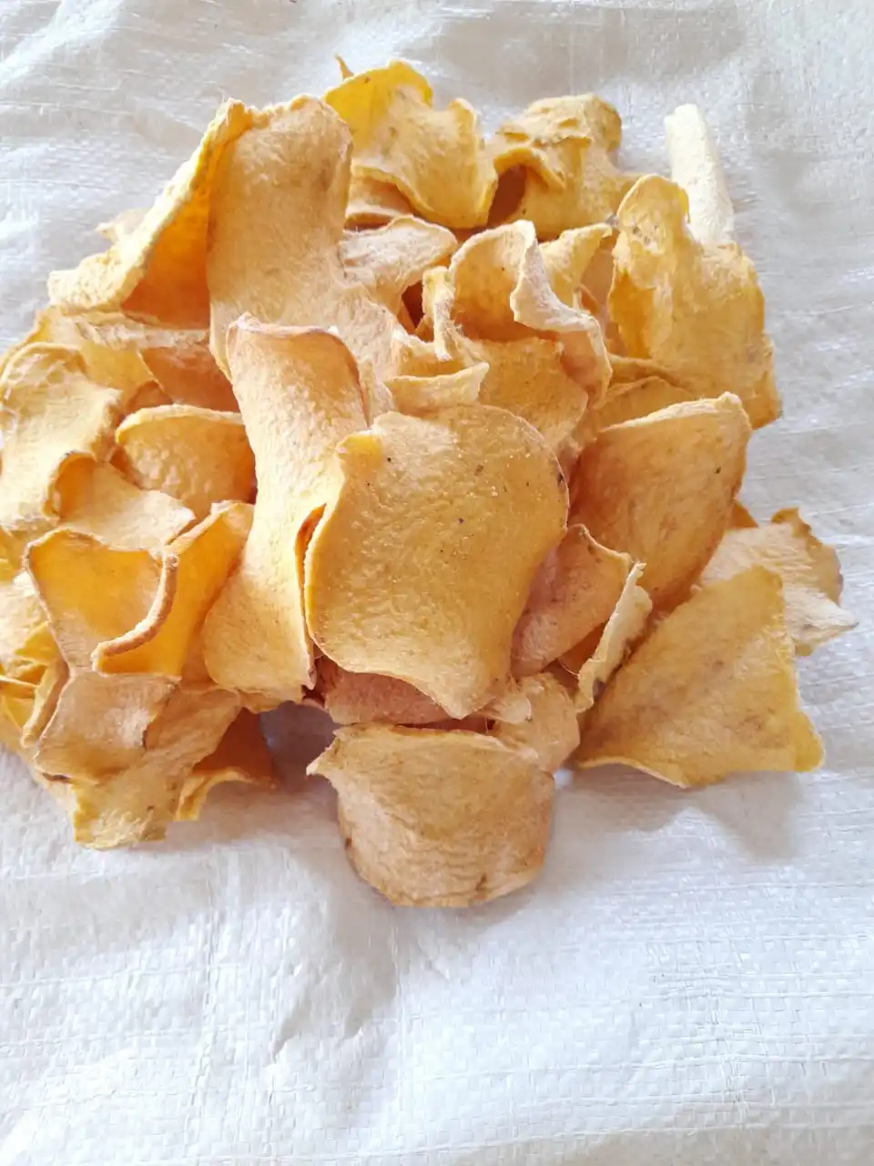 Dried Konjac Chips - High Quality Raw Material for Food