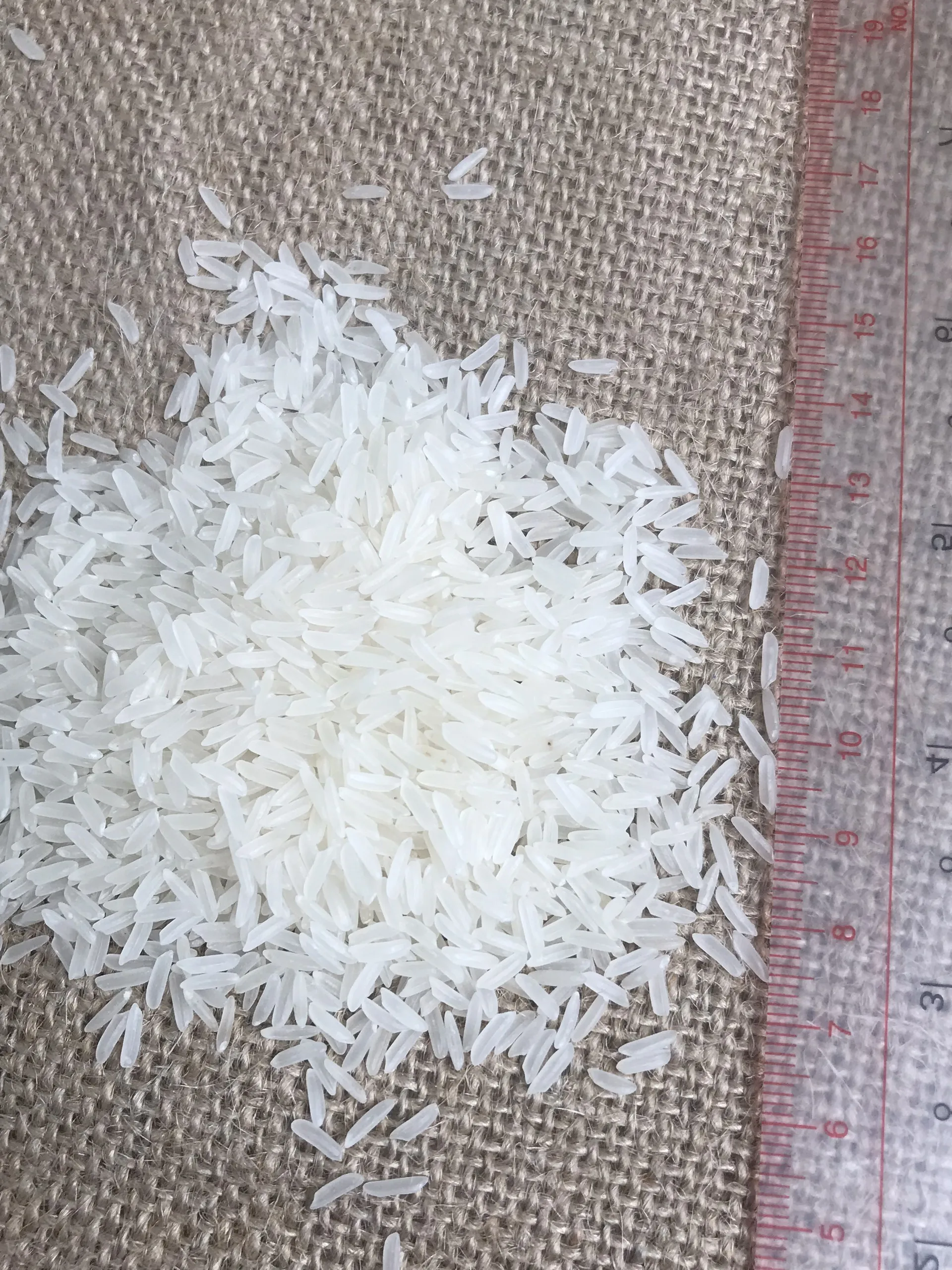 St25 Rice High Quality In Viet Nam Exporter Specialty 100% Organic Long ...