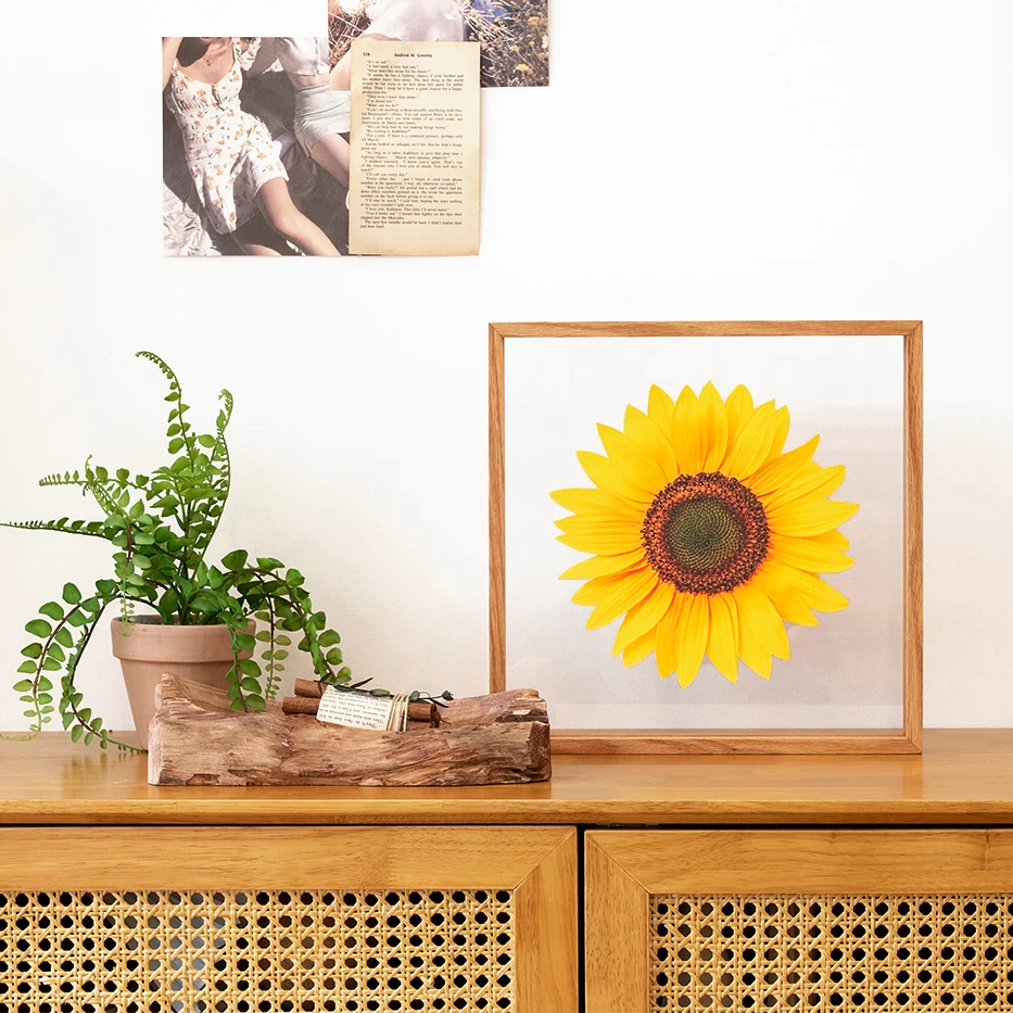 Nemo Dream Sunflower Transparent Picture Frame For Money Luck Opening ...