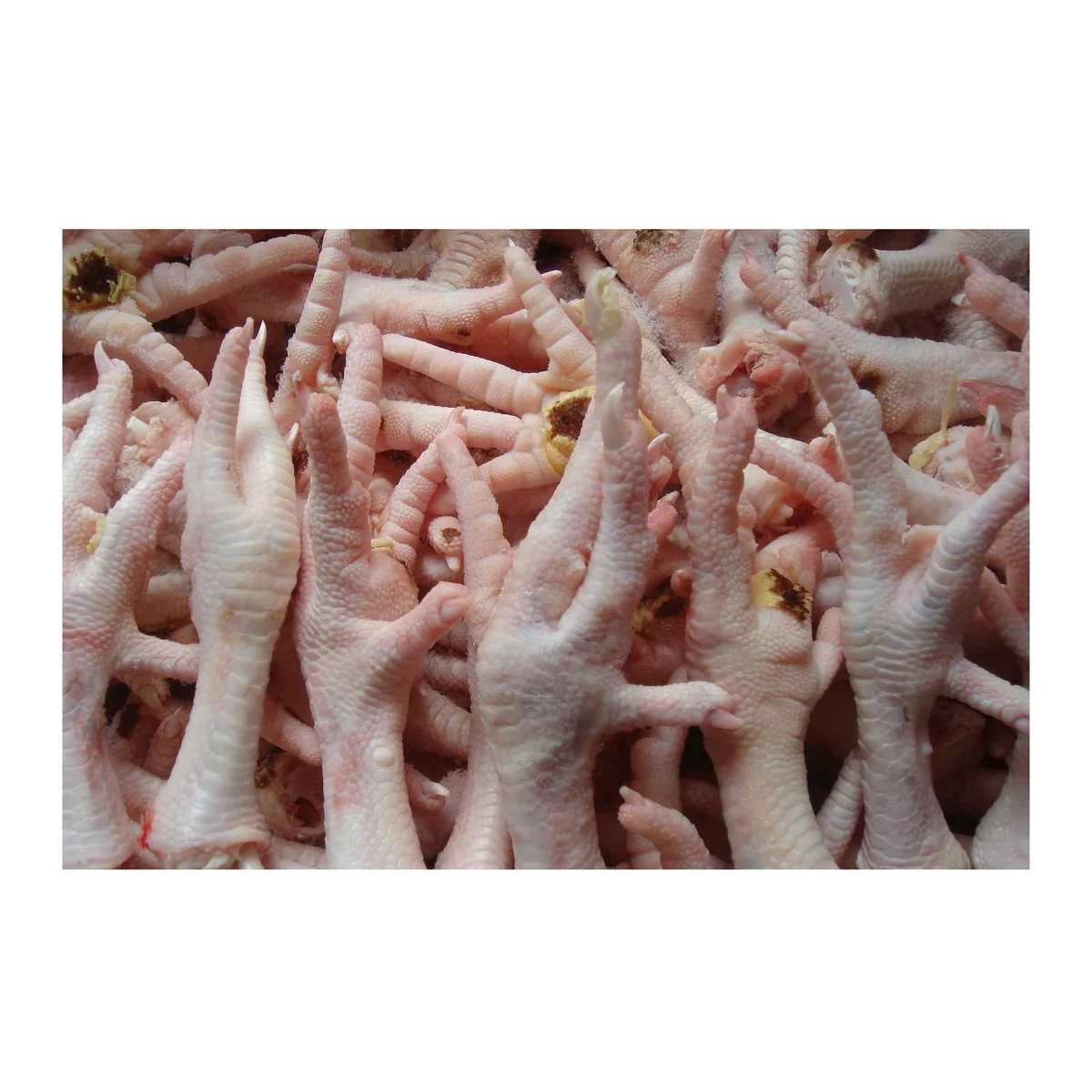 Bulk Brazil Frozen Chicken Feet / Chicken Paws for Sale| Alibaba.com