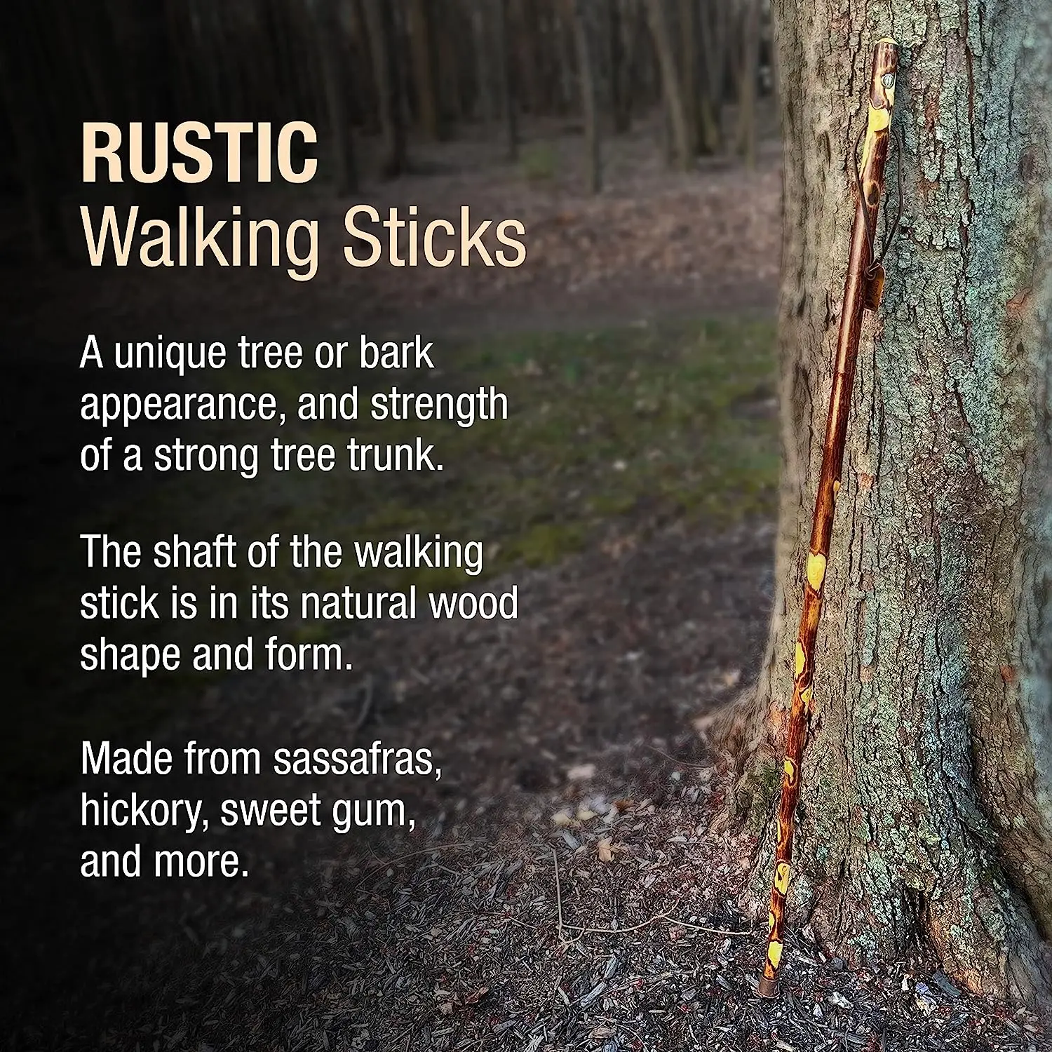 Rustic Wood Walking Stick Hawthorn Traditional Style Handle For Men ...