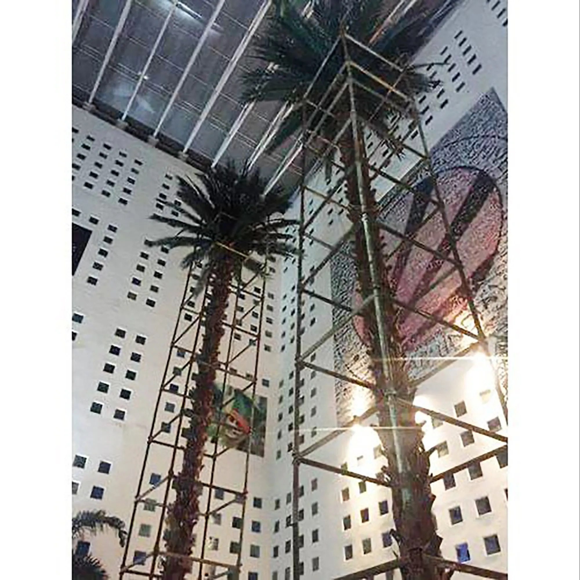 Wholesale Artificial Big Date Palm Tree With Natural Preserve Leaf For ...