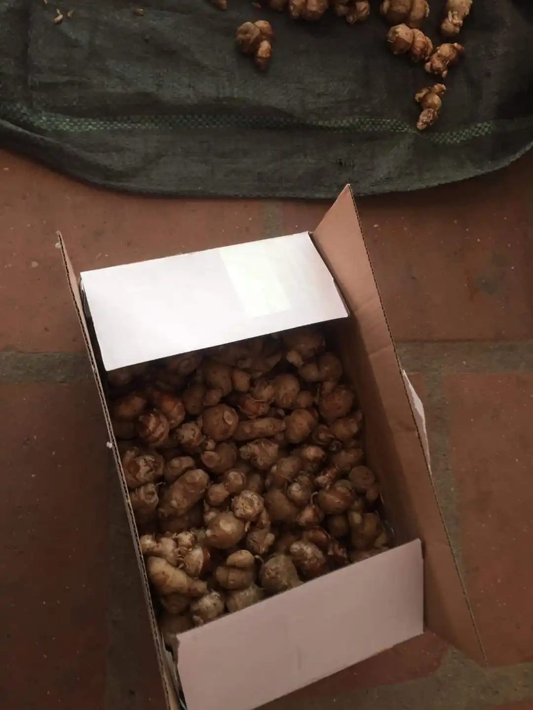 Fresh Sand Ginger Segments Cutcherry Root Aromatic Ginger Buy