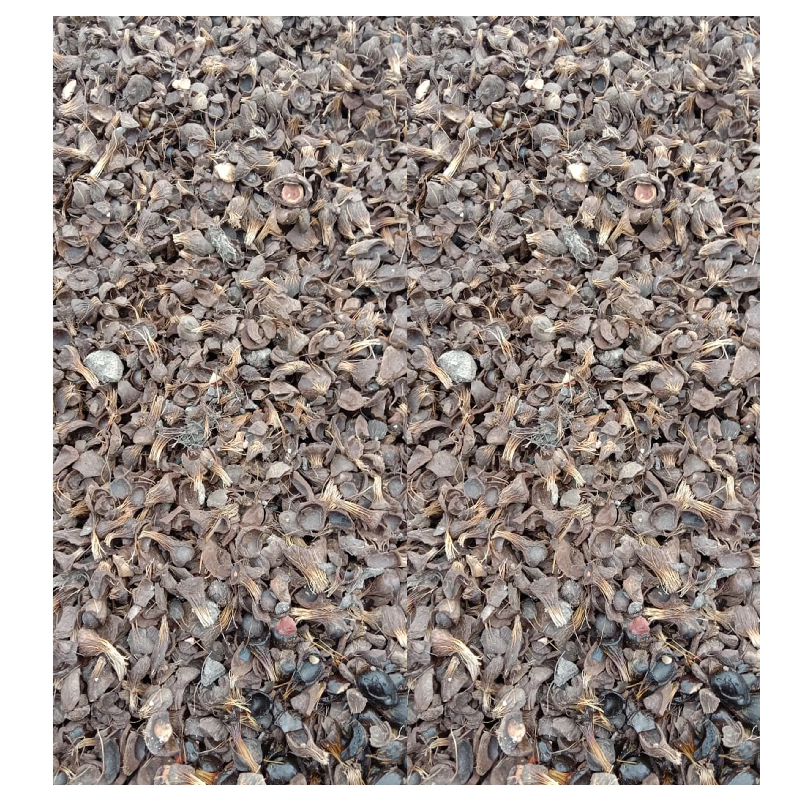 Palm Kernel Shell from Sustainable Sources Indonesia-Derived ...