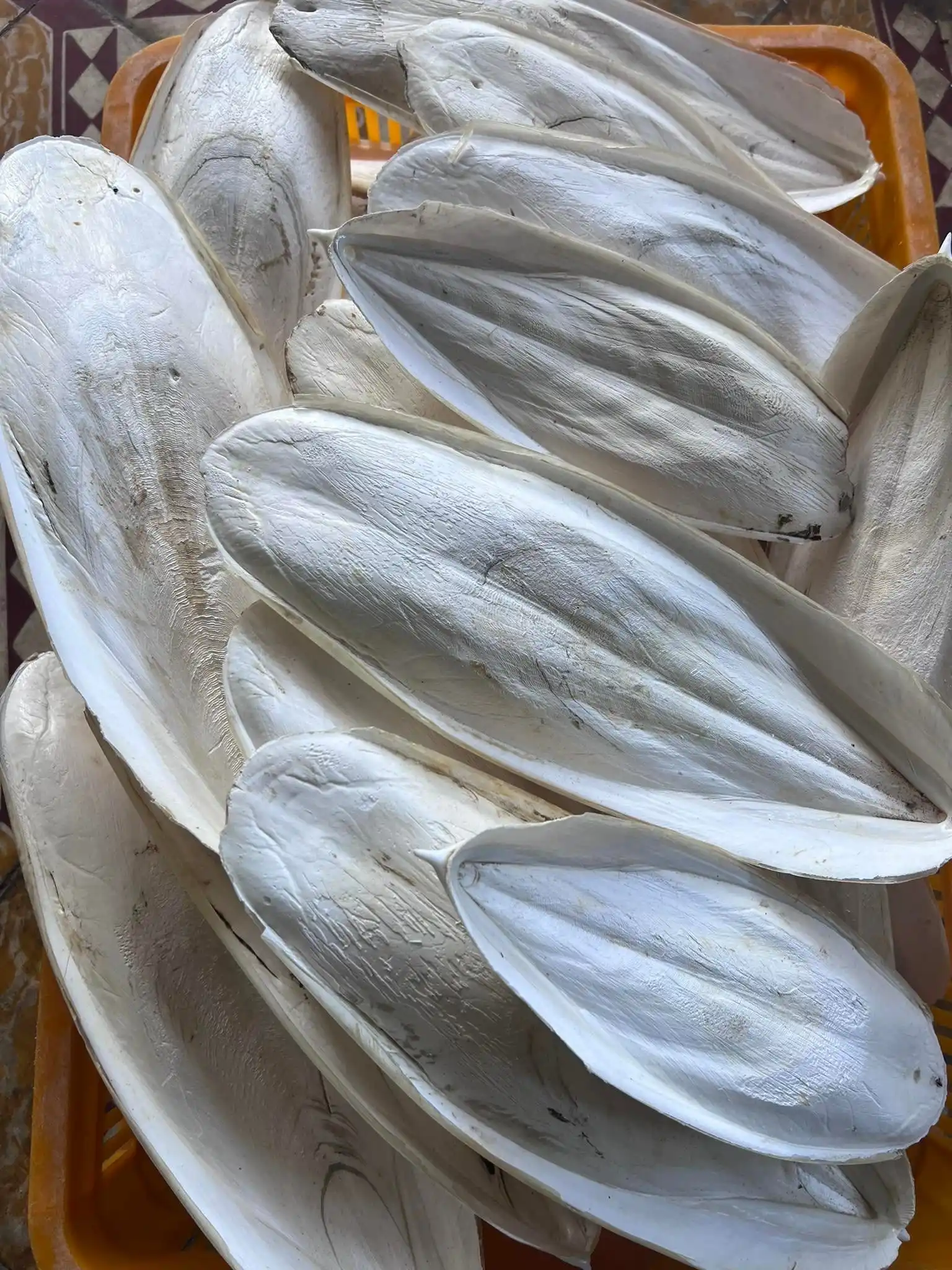 Os De Seiche 100% Naturel Seche Au Soleil,Os De Seiche De Calmar De ...