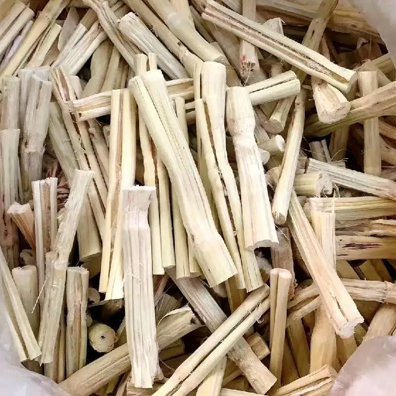 Sweet Sugarcane Sticks for Pet Chewing - Vdelta Quality