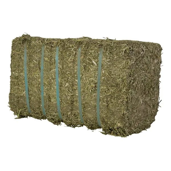 Double Compressed Premium Alfalfa Hay - Best Quality Alfalfa Hay For ...