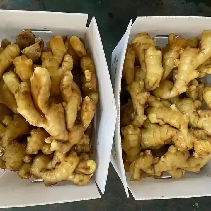 Top Grade Fresh Ginger Root Exporter - Buy Fresh Ginger Old Ginger ...