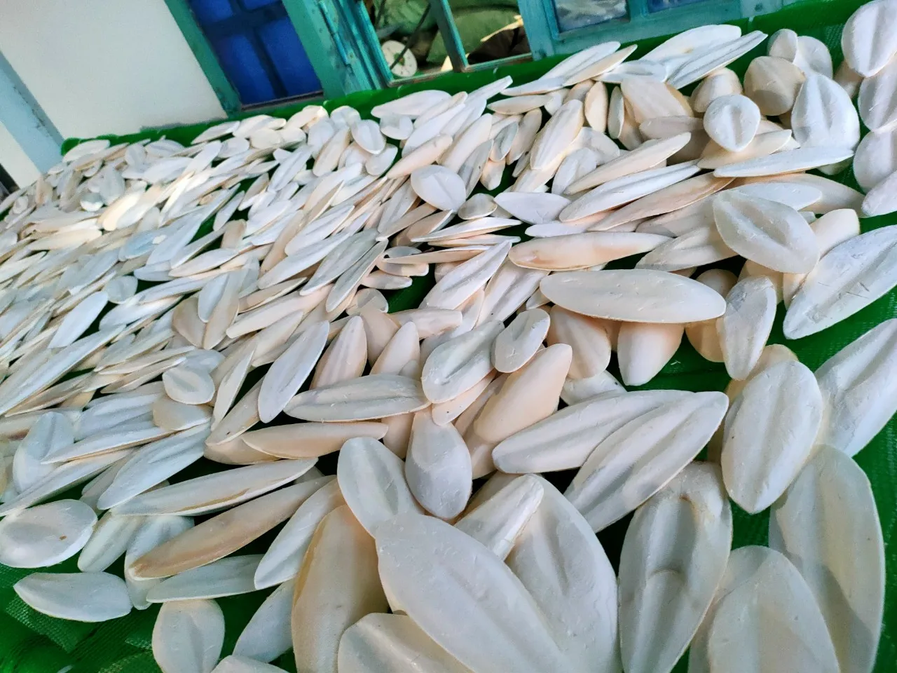 [best Seller] Natural Trimmed Cuttlefish Bone For Animal Feed From ...