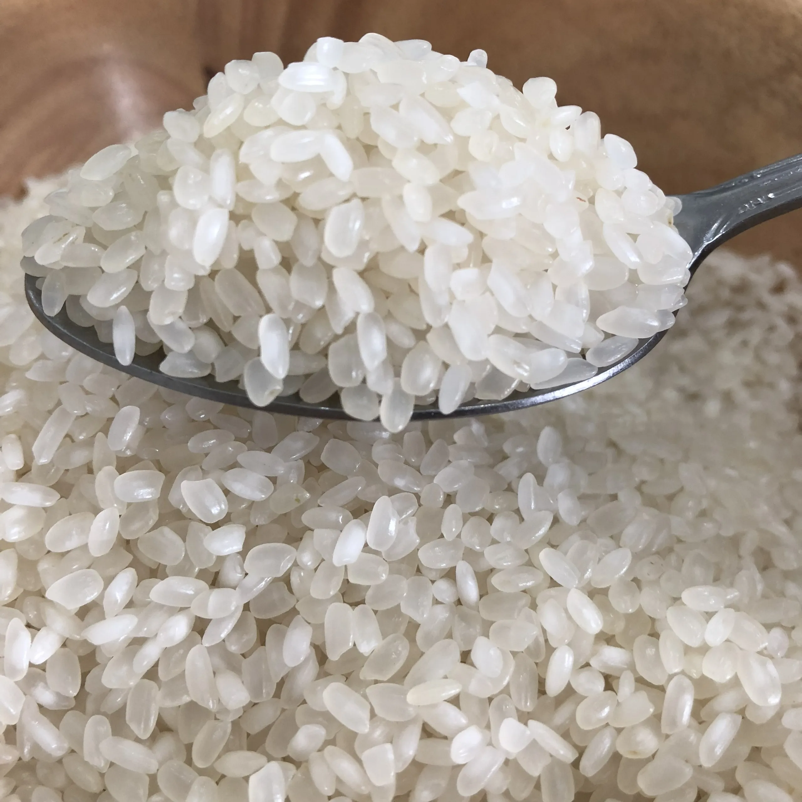 White Rice Calrose Medium Grain - EGYPTIAN CAMOLINO RICE / MEDIUM GRAIN ...