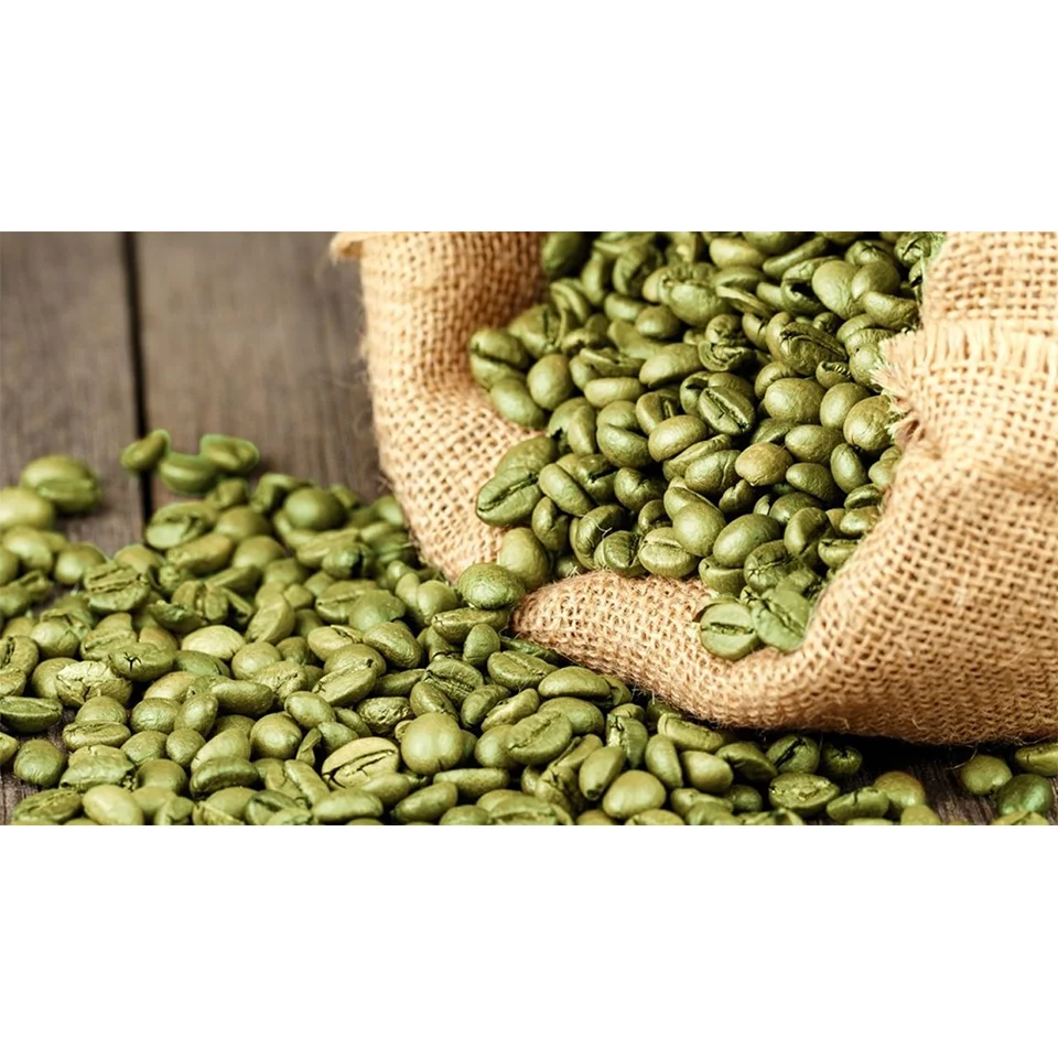 High Quality Green Arabica Coffee Beans Competitive Price Packed From ...