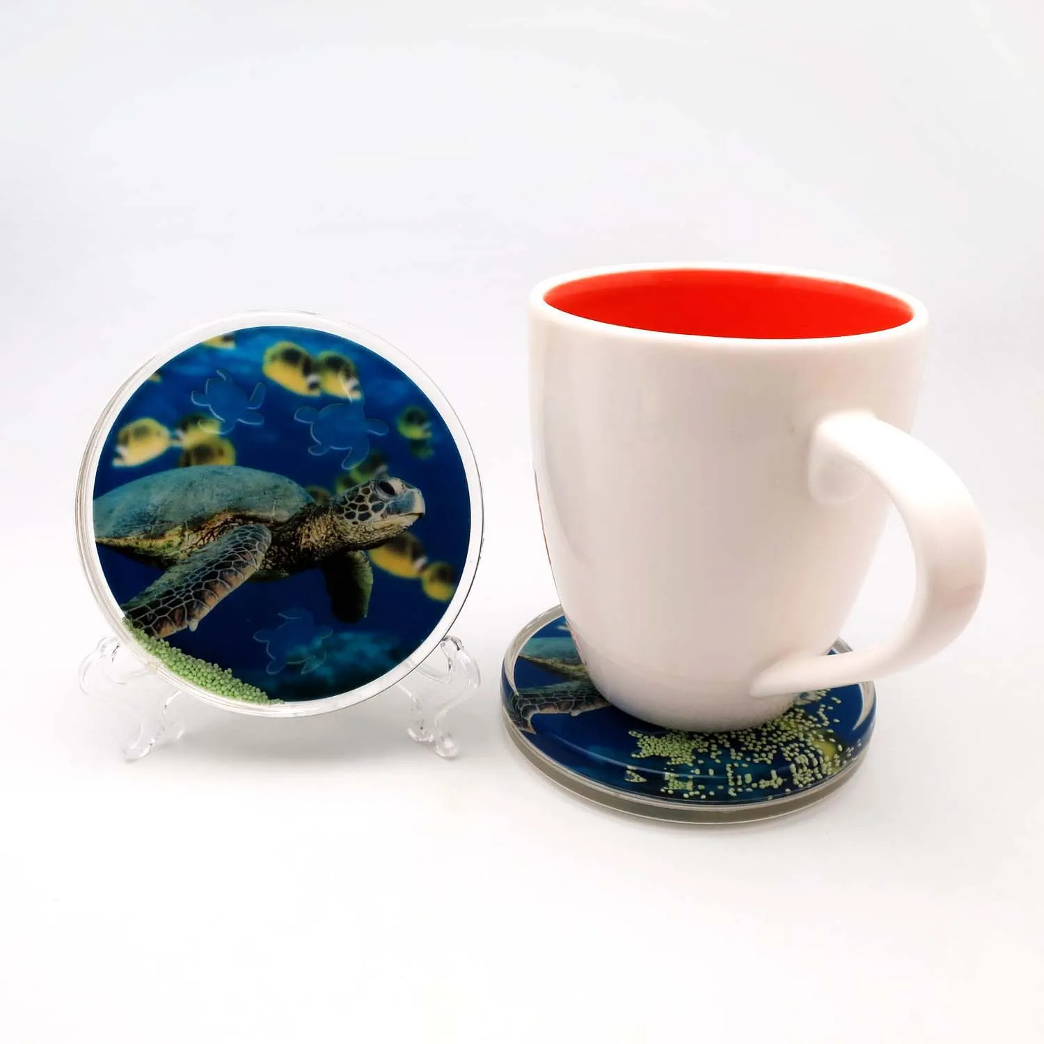 Sea Life Liquid Filled Acrylic Paperweight - Starfish & Co