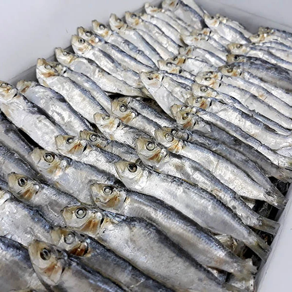 Best Quality Dried Herring from Vietnam - Premium Grade