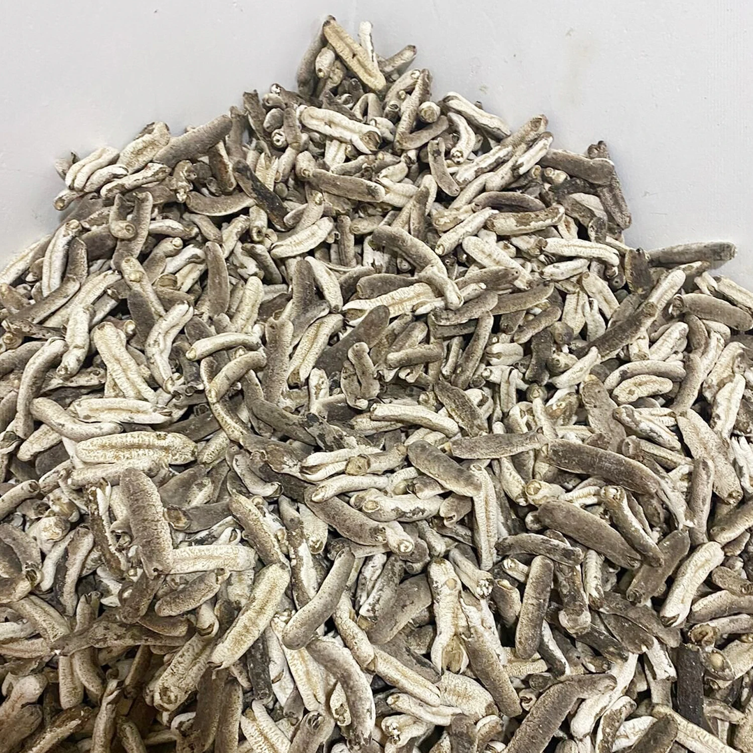 Sri Lankan Sea Cucumber - Natural Sun Dried Sand Fish