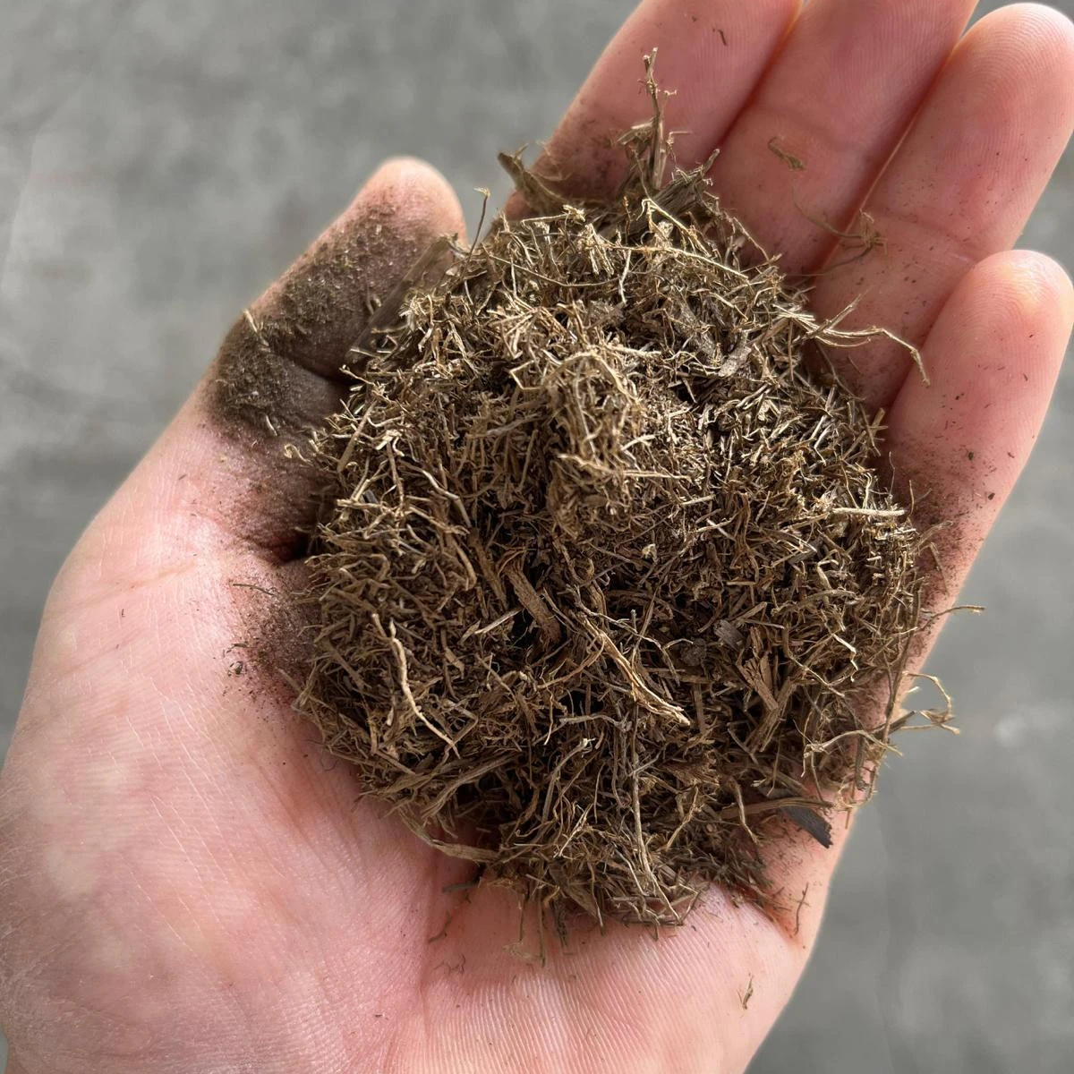 SUGARCANE BAGASSE PELLETS - Sustainable Animal Feed