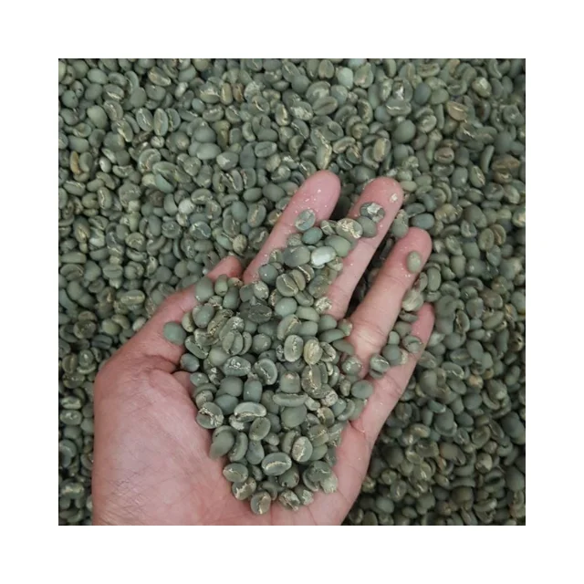 Green Arabica Coffee Beans100% Indonesia Specialty Green Robusta Coffee ...