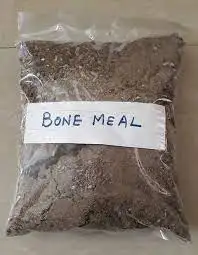 Premium Quality Bone Meal Powder Export For Animal Feed With Customized ...