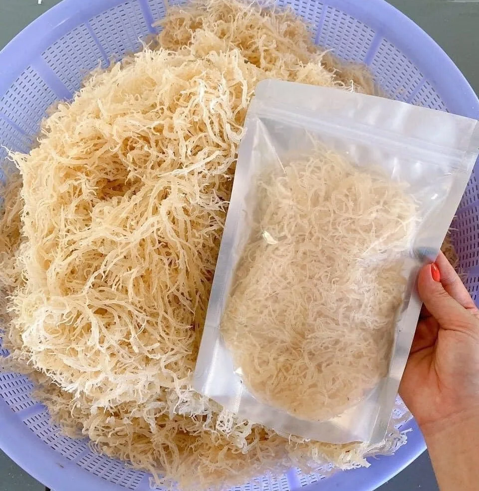 Vietnam Dried Purple Sea Moss - Superfood Eucheuma Cottonii