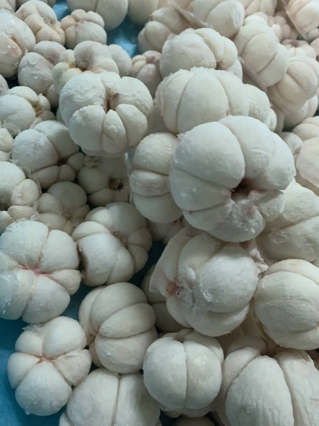 畅销产品2022 Iqf冷冻天然山竹无核肉仅来自泰国的其他热带新鲜水果 - Buy 新鲜山竹,其他新鲜水果,畅销产品2022 Product on Alibaba.com