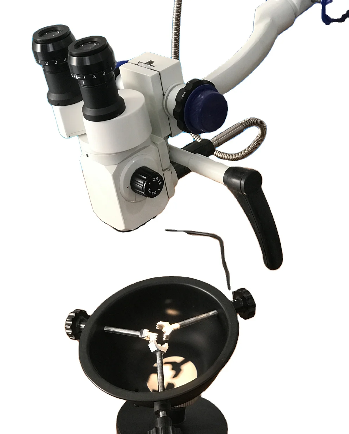 Temporal Bone Dissection Microscope With Bone Holder - Buy Ent Temporal ...