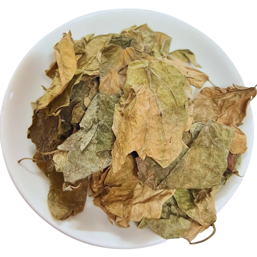 Premium Dried Organic Betel Leaves With Antioxidant Effect For ...