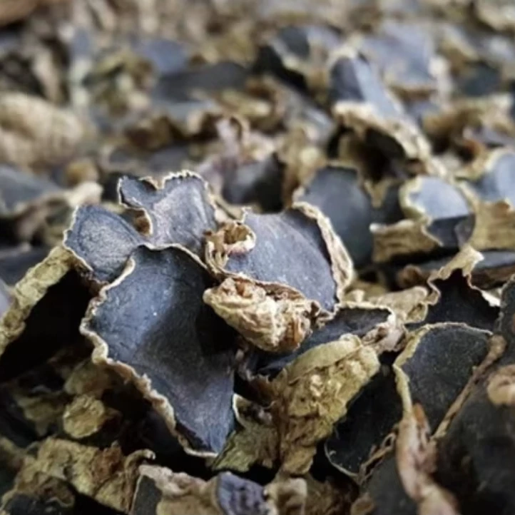 Thai Kra-Chai Dam Kaempferia Parviflora Herbal Extract Wild-Cultivated ...