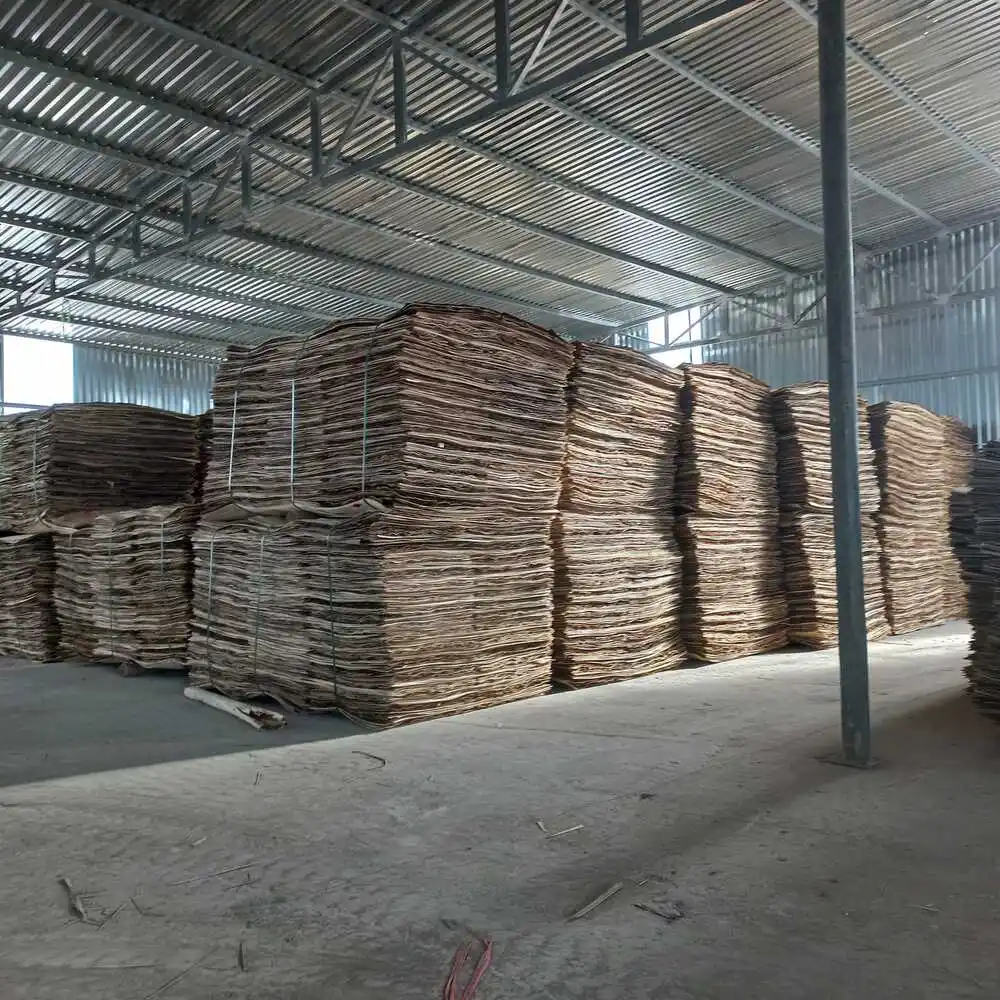 Eucalyptus/ Acacia/ Rubber Wood Core Veneer 2023 Vietnam - Natural ...