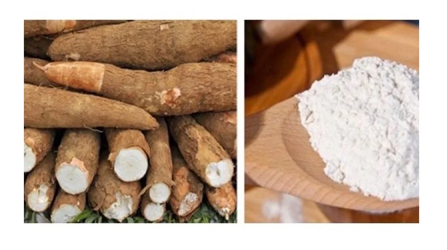 Bulk Quantity Tapioca Starch Native Tapioca Starch Casava Starch For ...