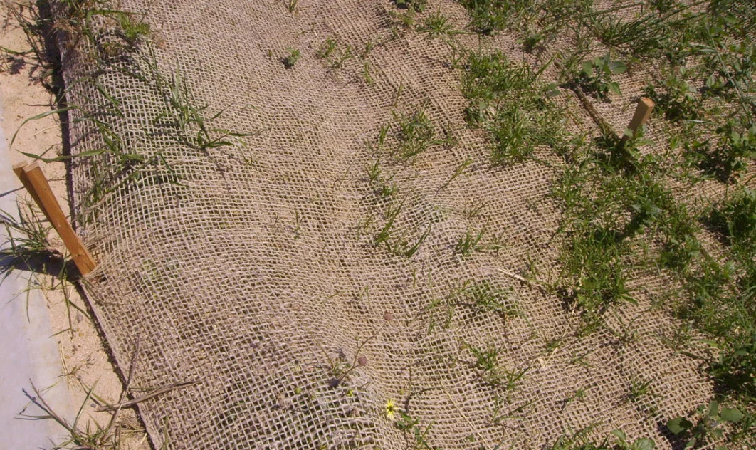 Export Oriented Jute Soil Saver Erosion Control Net Roll 100% Natural ...