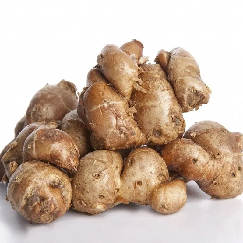 Fresh Sand Ginger Segments Cutcherry Root Aromatic Ginger For Spice Use ...