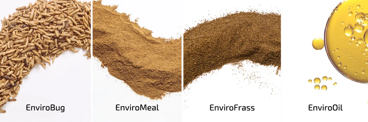 Wholesale High Protein Black Soldier Fly Larvae Powder For Animal Feed ...