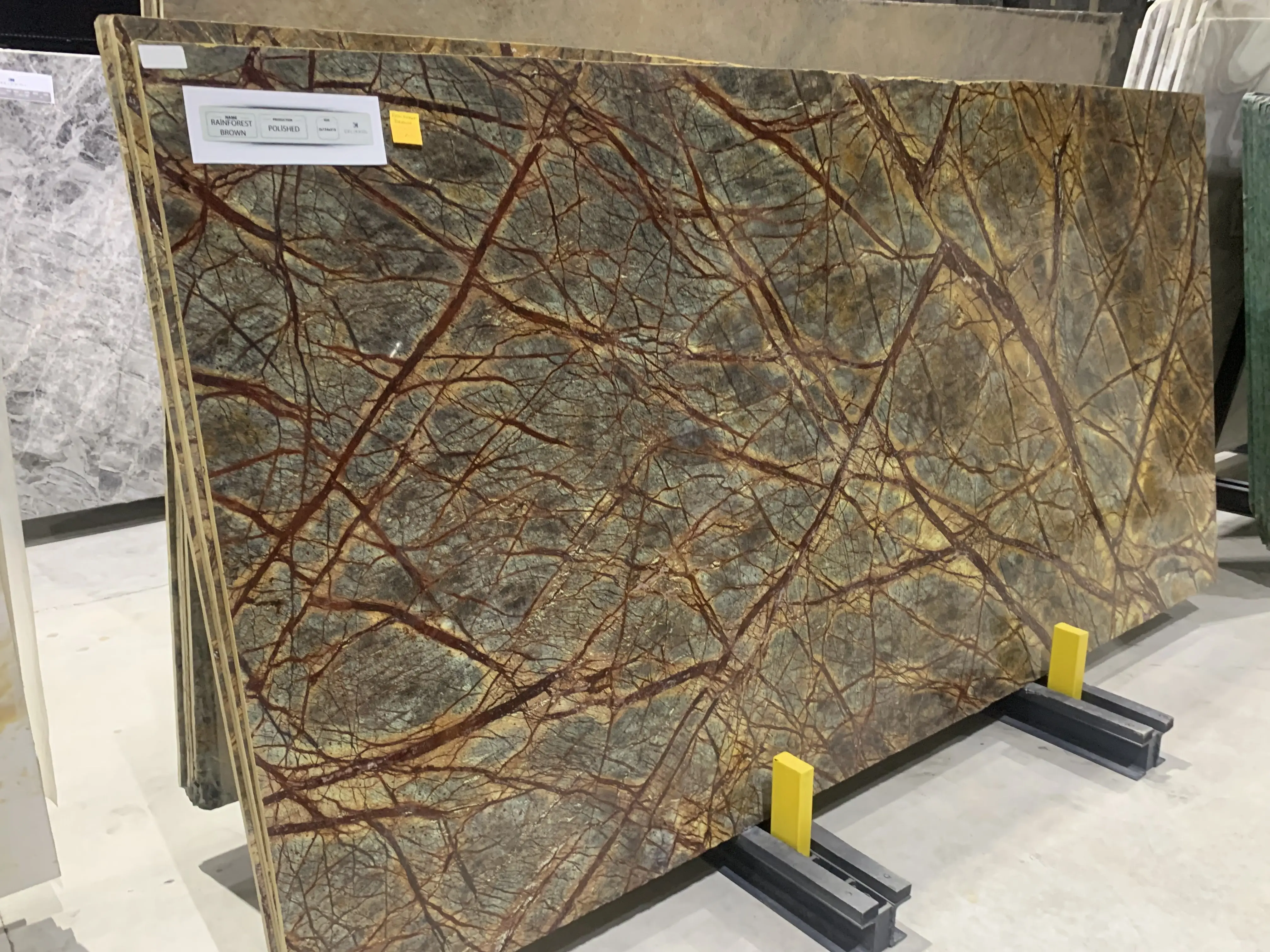 Rainforest Brown Marble Tile Slab Using For The Flooring Natural Stone ...