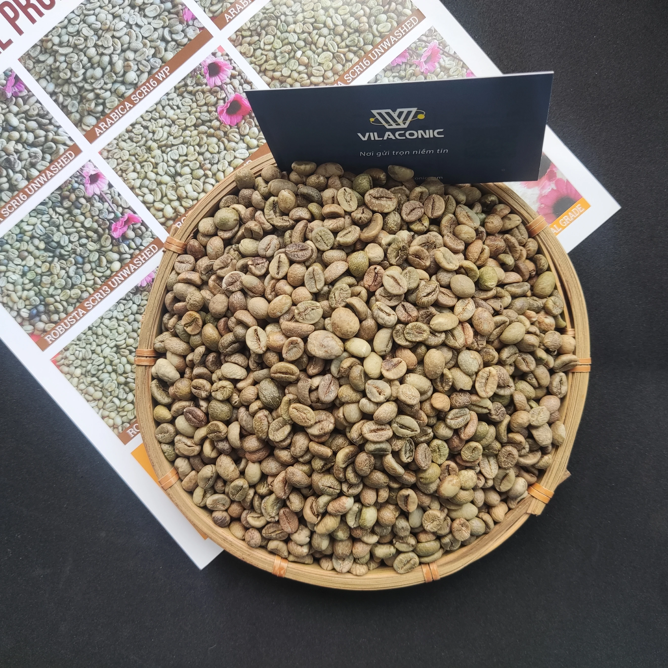 Pure Green Beans Robusta Screen 13/16/18 Wholesale Coffee Beans From ...