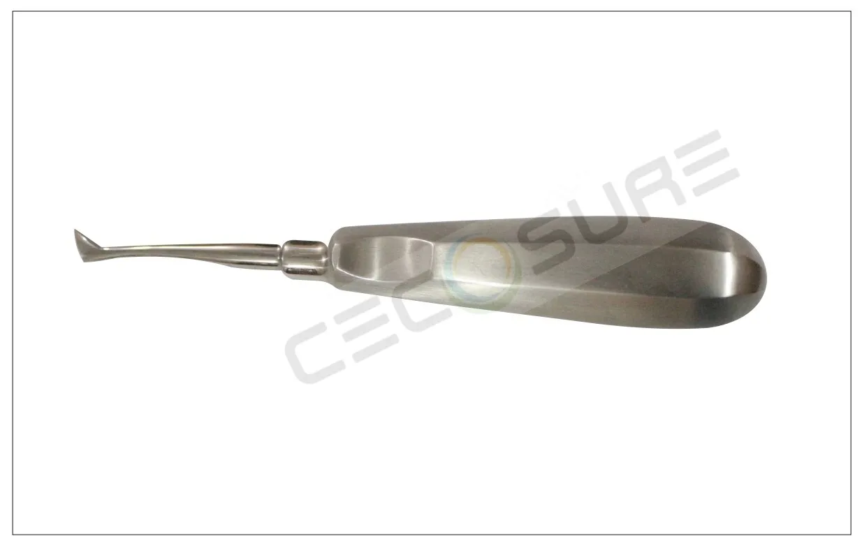 Stainless Steel Dental Tooth Extracting Cryer Root Elevators Dental ...