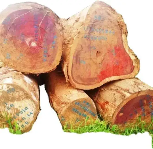 Red Round Oak Wood Logs / Pine Sawn Wood Logs Pine Round Wood For Sale ...