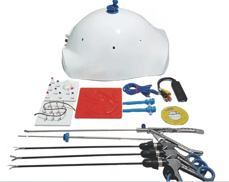 SCIENCE & SURGICAL MANUFACTURE ENDOTRAINER LAPAROSCOPIC ABDOMEN SHAPE ...