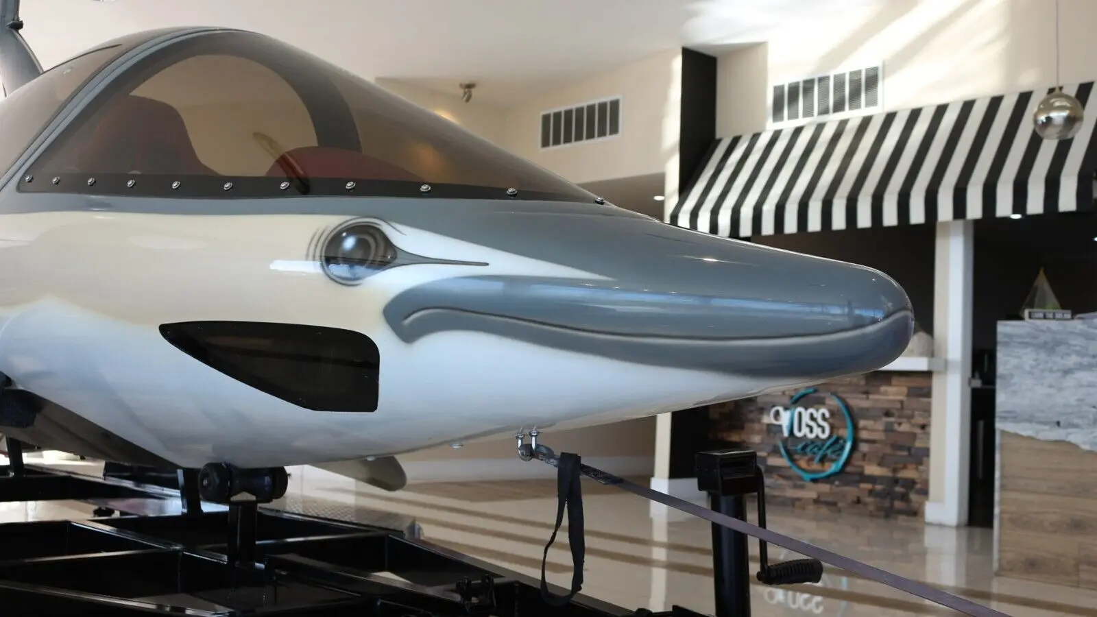 2014 Innespace Seabreachers Dolphins 2 People Semi-submersible ...