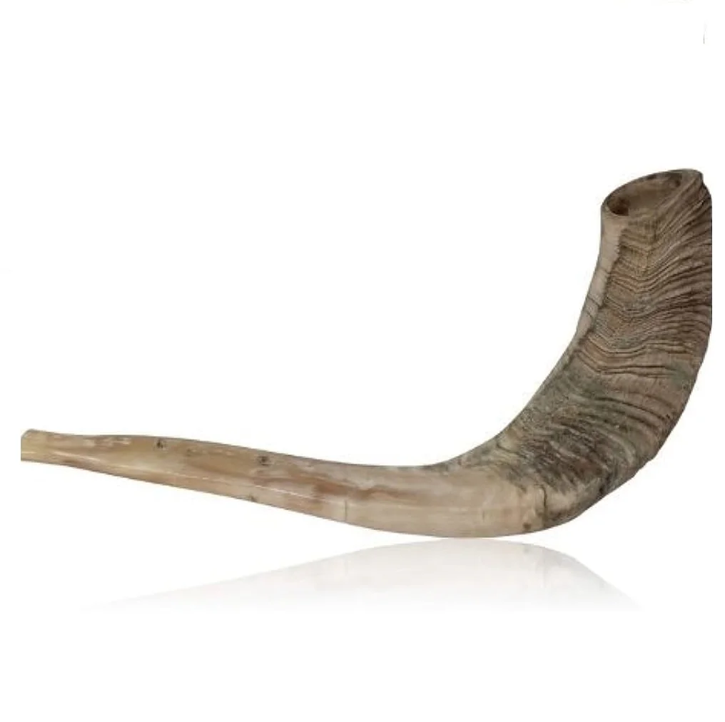Handcrafted Kosher Ram Shofar Musical Horn Anti Odor Spray Decorative ...