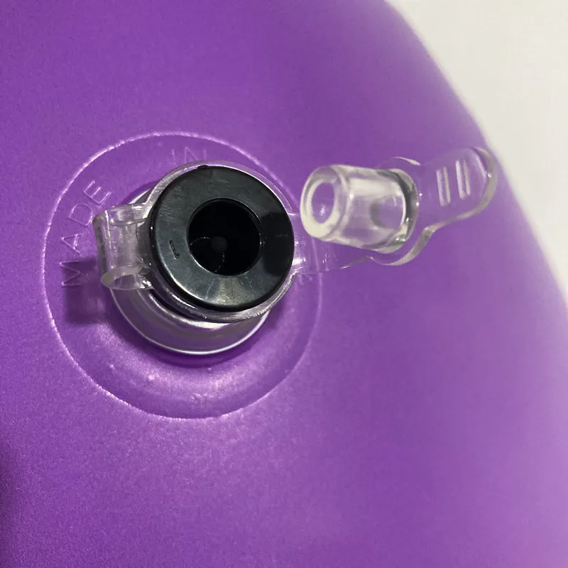 Inflatable Water Mount Animal Floats Giant Inflatable Seal Floats ...