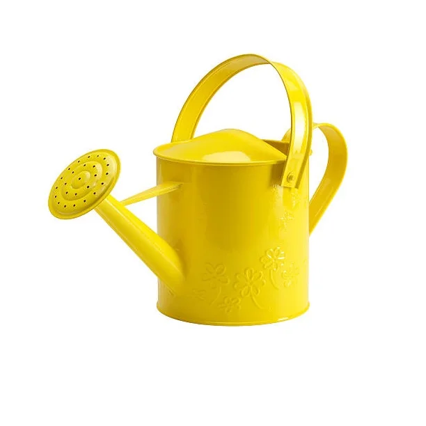 Medium Size Iron Watering Cane For Home And Garden Use Best Quality ...