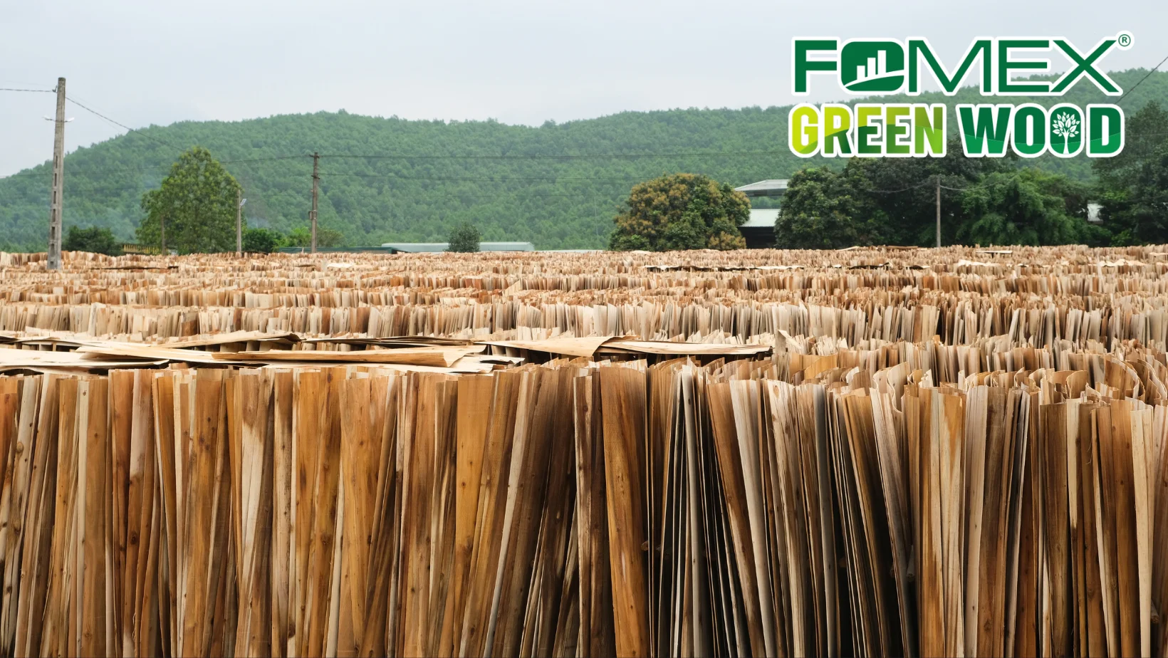 Vietnam Eucalyptus And Acacia Veneer 1.7 Mm To 2.0 Mm - Buy Engineered ...