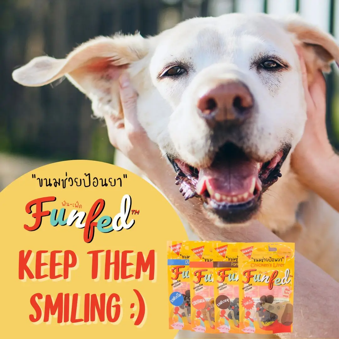 Pork's Liver Flavour Funfed Pill Hiding Pet Treats Wholesale From ...